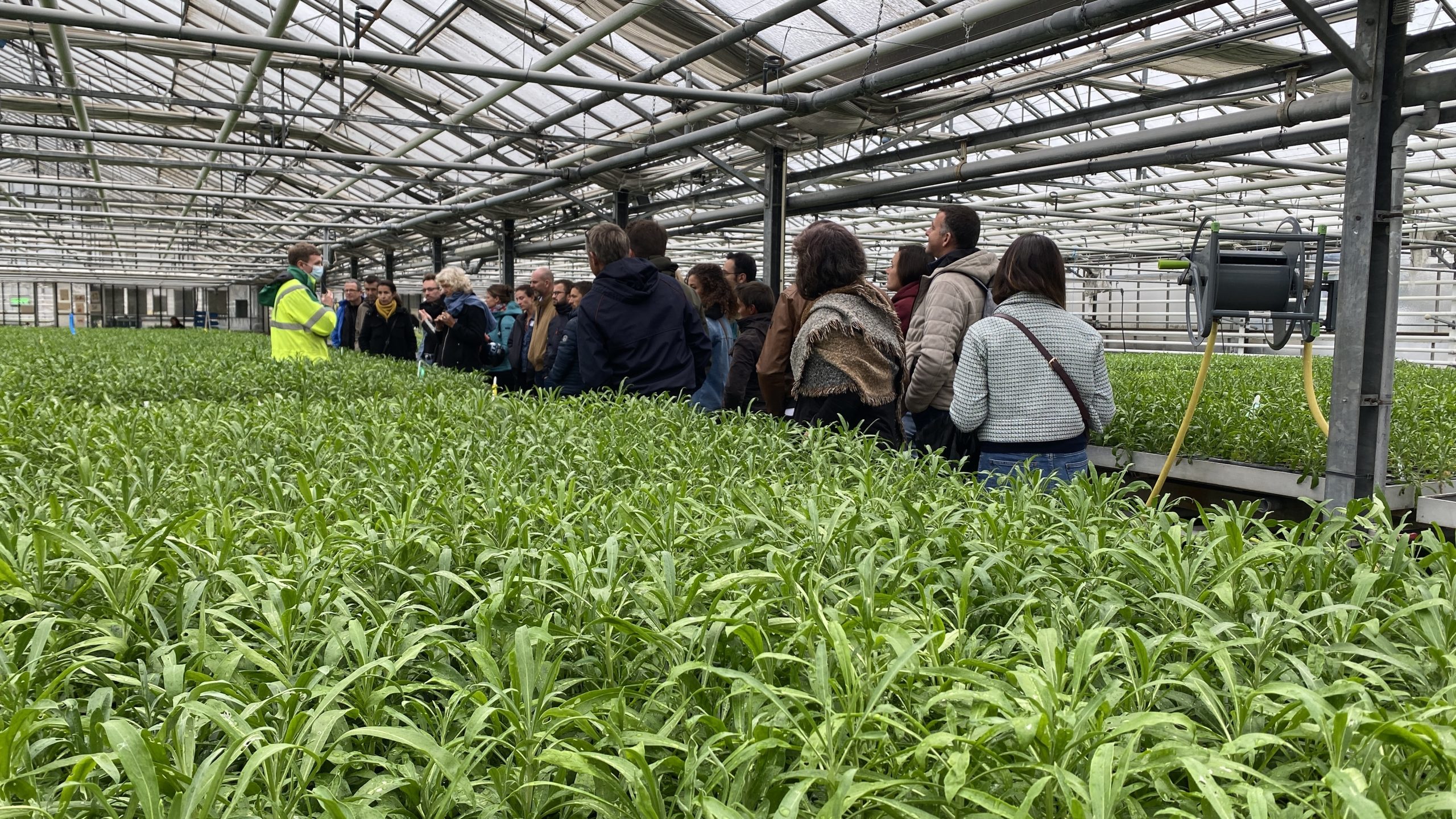 Excellence Végétale